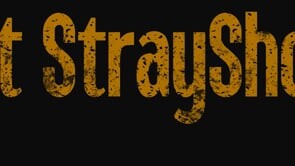 ArtStation - Stray shot GAME