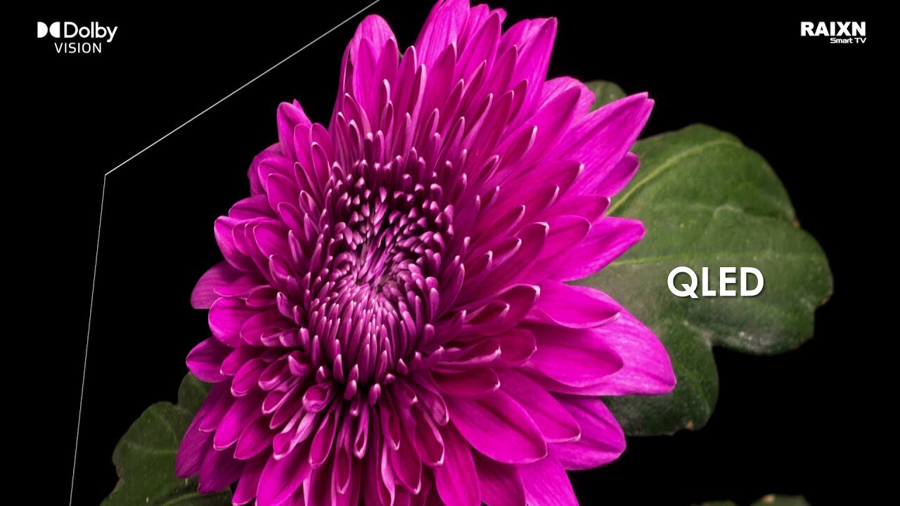 ArtStation - Smart TV Animation (TVC)