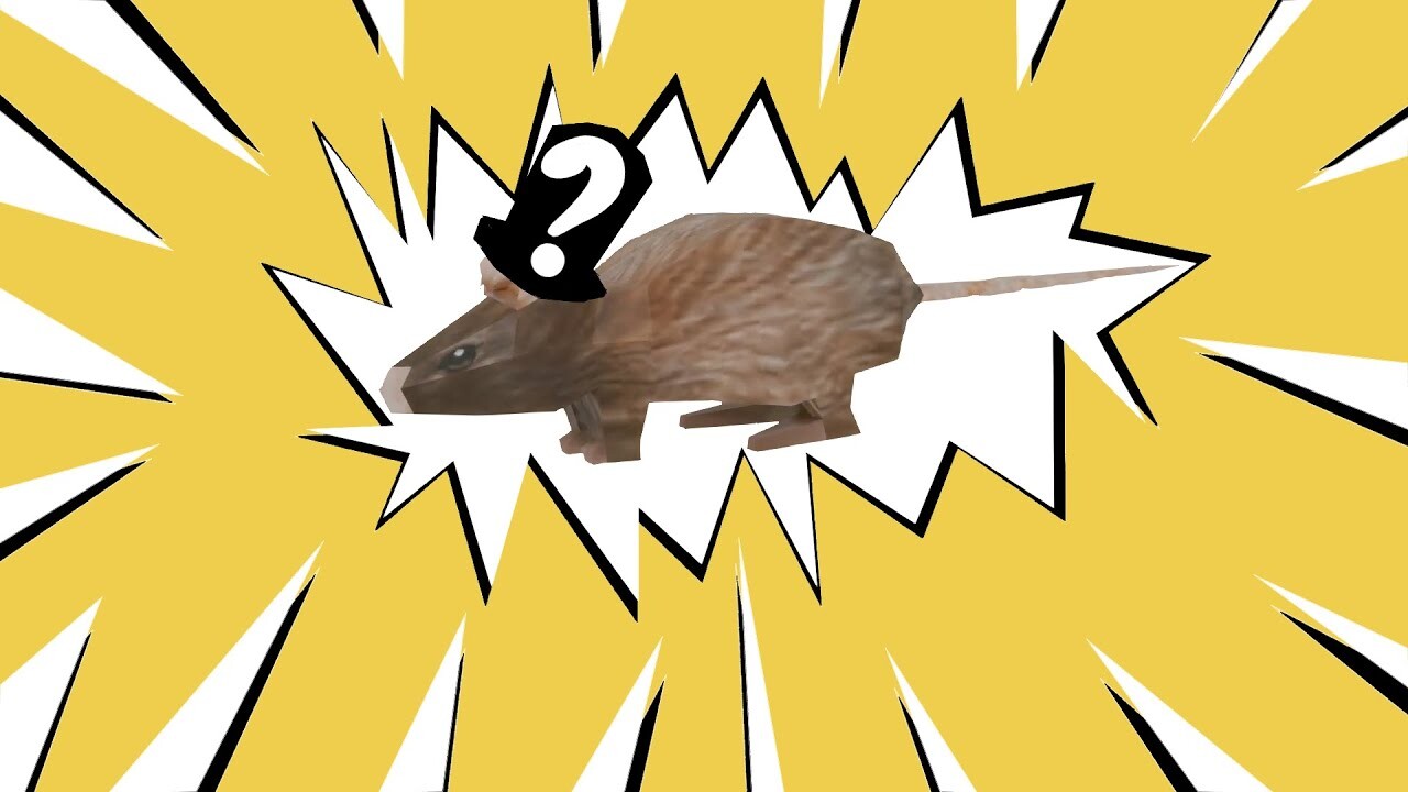 ArtStation - RATS WITH HATS | Blender animation