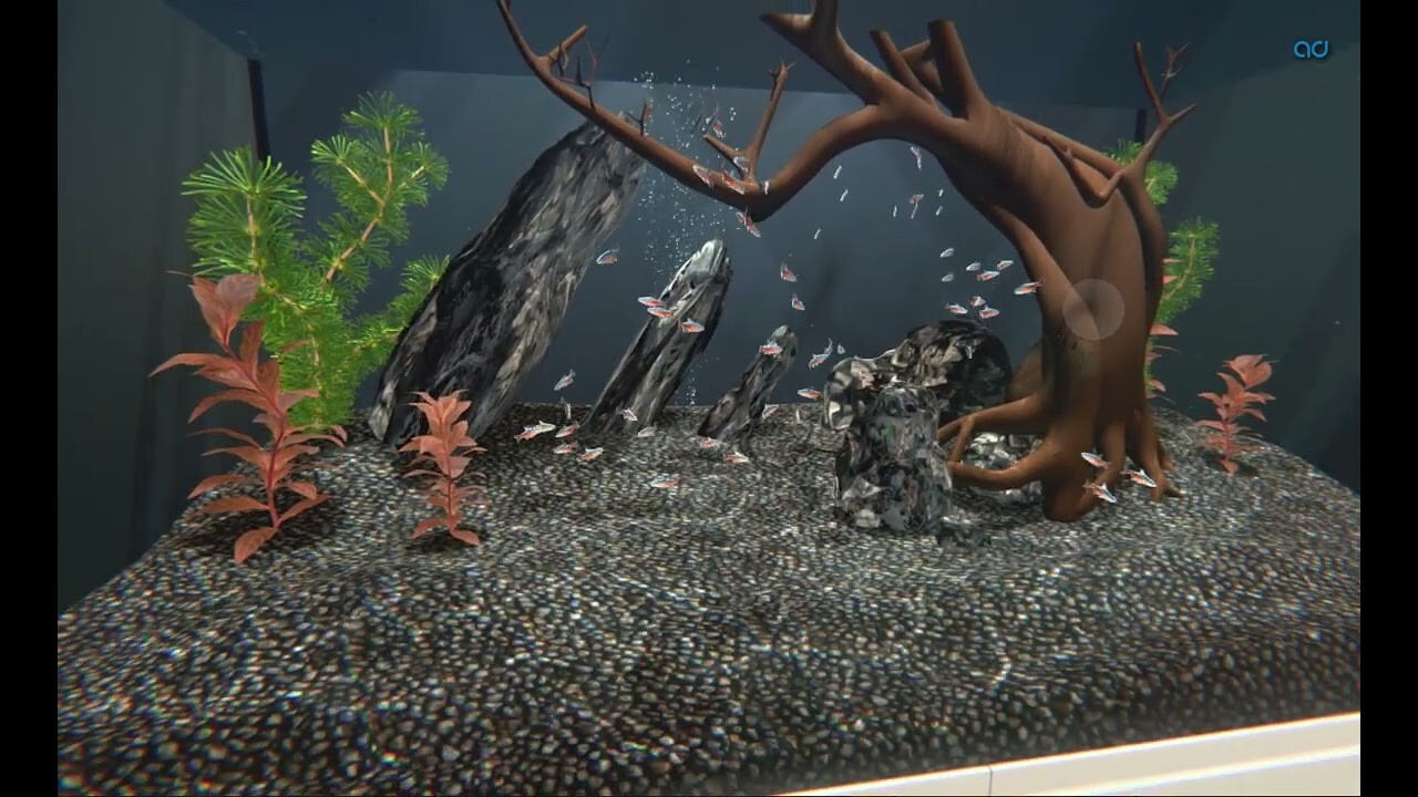 ArtStation - Aquarium Expert