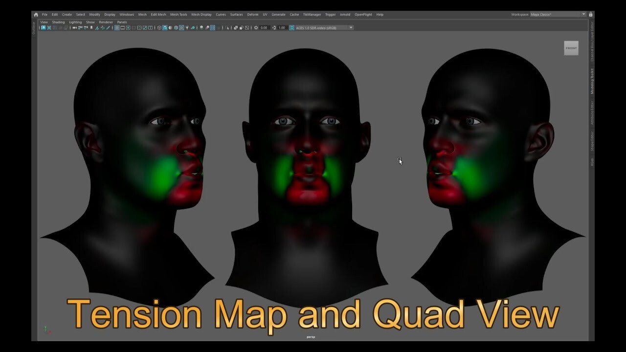 ArtStation - Tension Map and Quad View
