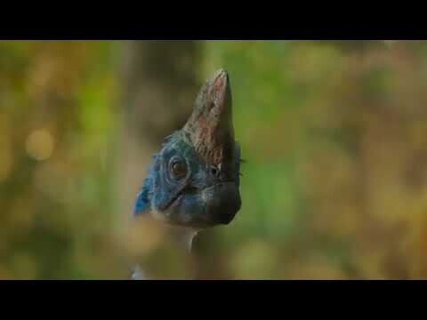 ArtStation - Prehistoric Planet Corythoraptor