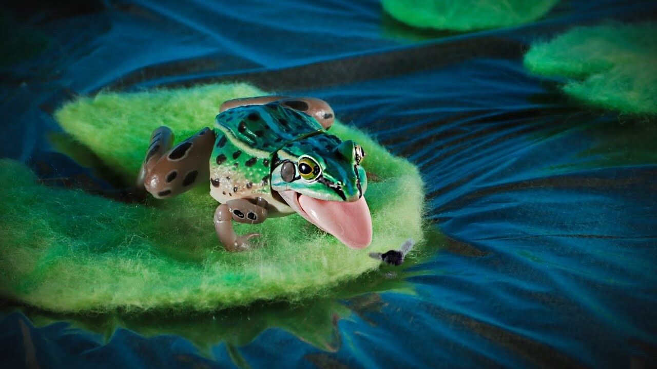ArtStation - STOP-MOTION Serie | Doom of a Frog