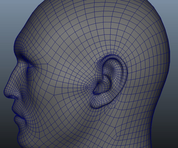 ArtStation - Head Geometry MultiUV 3D model | Resources