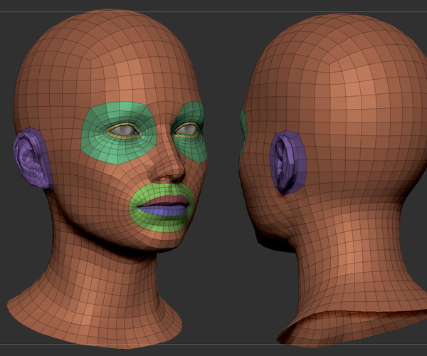 ArtStation - Average Caucasian Female Head | Game Assets