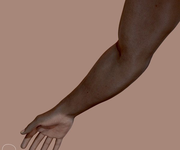 ArtStation - First Person Arms | Game Assets