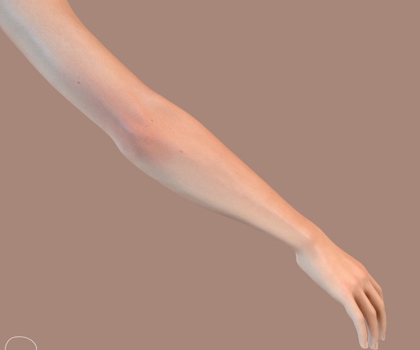 ArtStation - First Person Arms | Game Assets