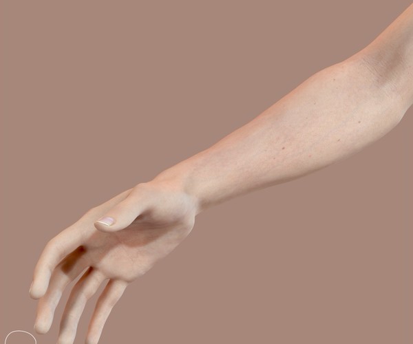 ArtStation - First Person Arms | Game Assets