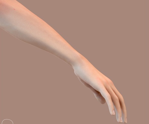 ArtStation - First Person Arms | Game Assets