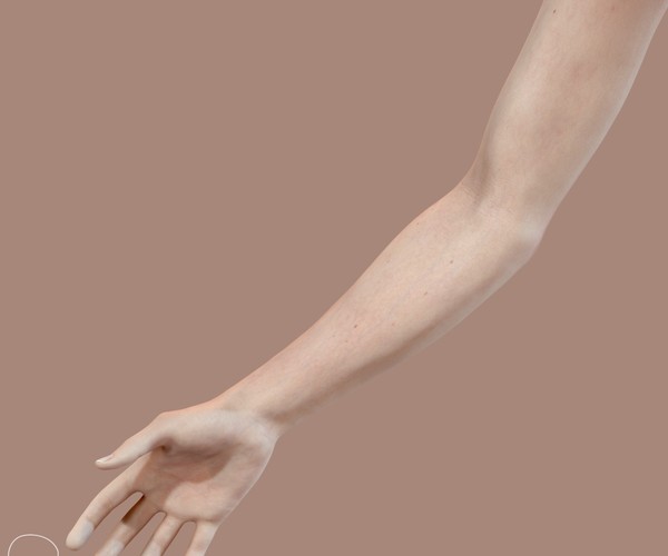 ArtStation - First Person Arms | Game Assets