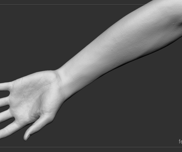 ArtStation - First Person Arms | Game Assets