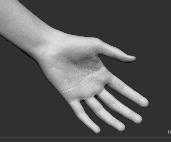 ArtStation - First Person Arms | Game Assets