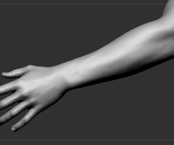 ArtStation - First Person Arms | Game Assets