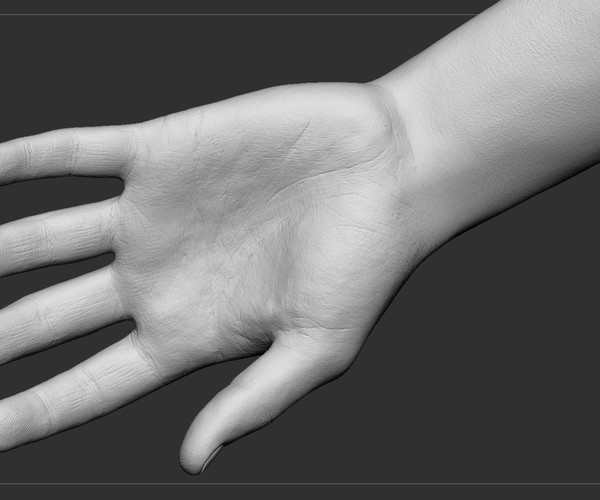 ArtStation - First Person Arms | Game Assets