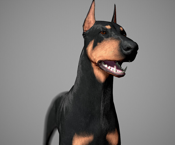 ArtStation - Doberman Game-Ready | Game Assets
