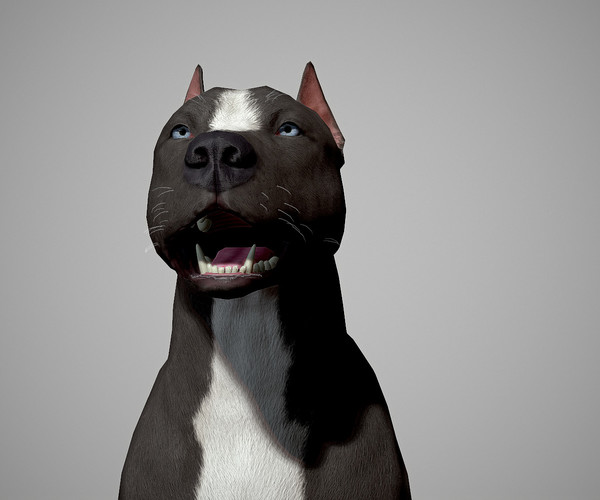 ArtStation - Pitbull Game-Ready | Game Assets