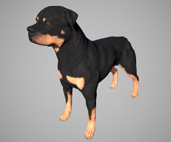 ArtStation - Rottweiler Game-Ready | Game Assets