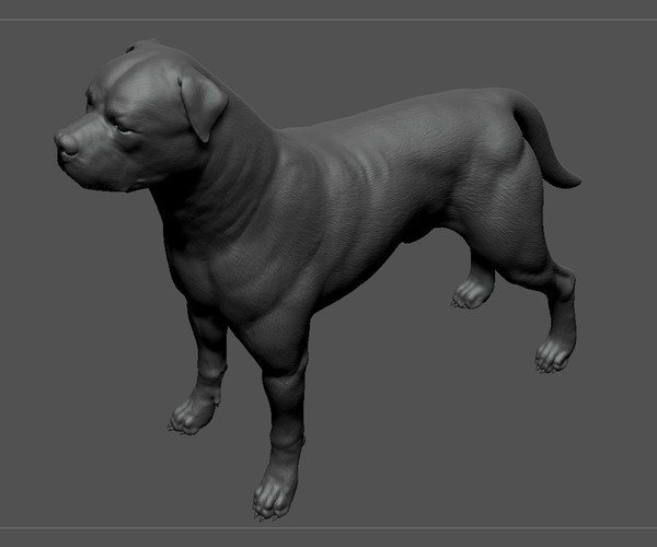 ArtStation - Rottweiler Game-Ready | Game Assets