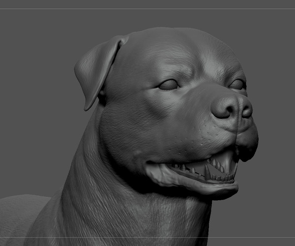 ArtStation - Rottweiler Game-Ready | Game Assets