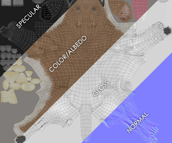 ArtStation - Chihuahua Game-Ready | Game Assets