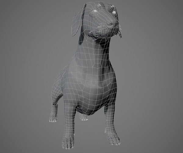 ArtStation - Dachshund Game-Ready | Game Assets