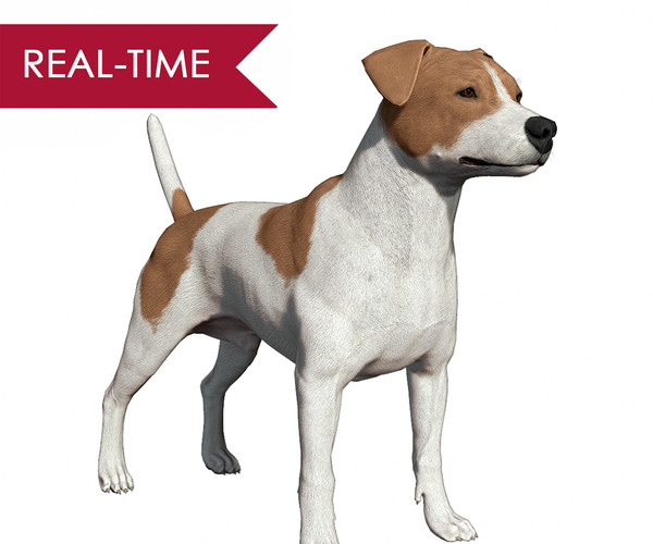 ArtStation - Jack Russell Game-Ready | Game Assets