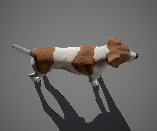 ArtStation - Jack Russell Game-Ready | Game Assets