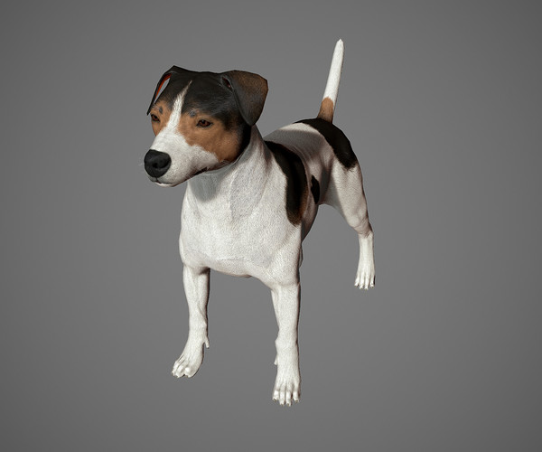 ArtStation - Jack Russell Game-Ready | Game Assets