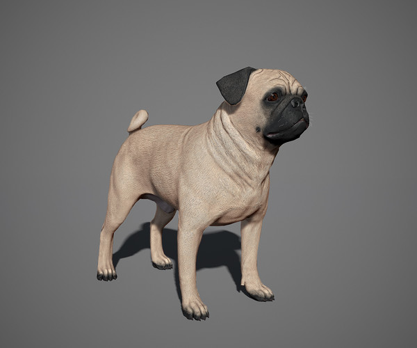 ArtStation - Pug Dog Game-Ready | Game Assets