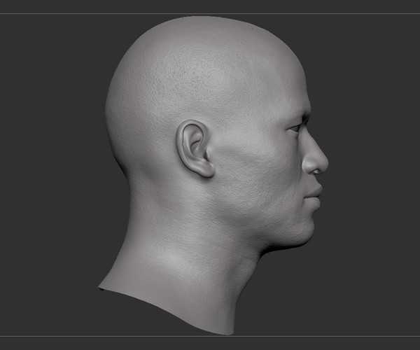 ArtStation - Average Asian Male Head Basemesh | Resources