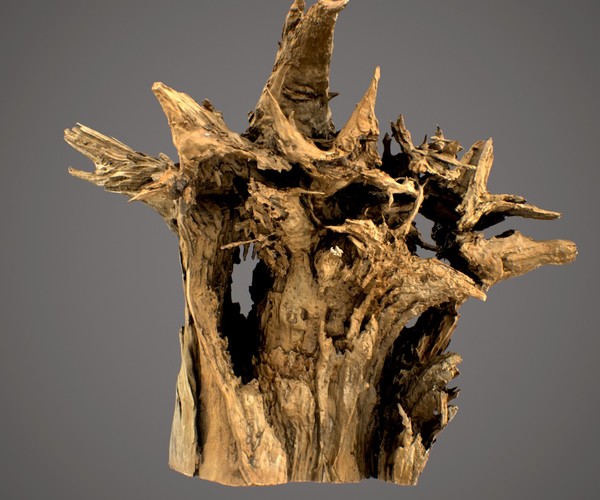 ArtStation - Tree Stump 01 | Game Assets