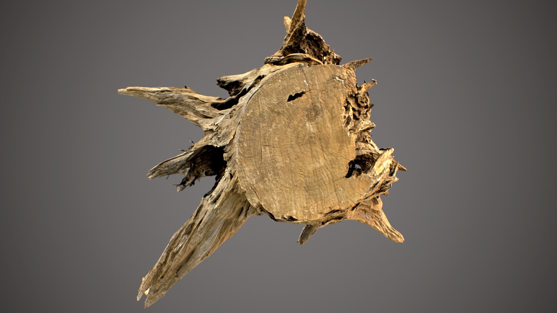 ArtStation - Tree Stump 01 | Game Assets