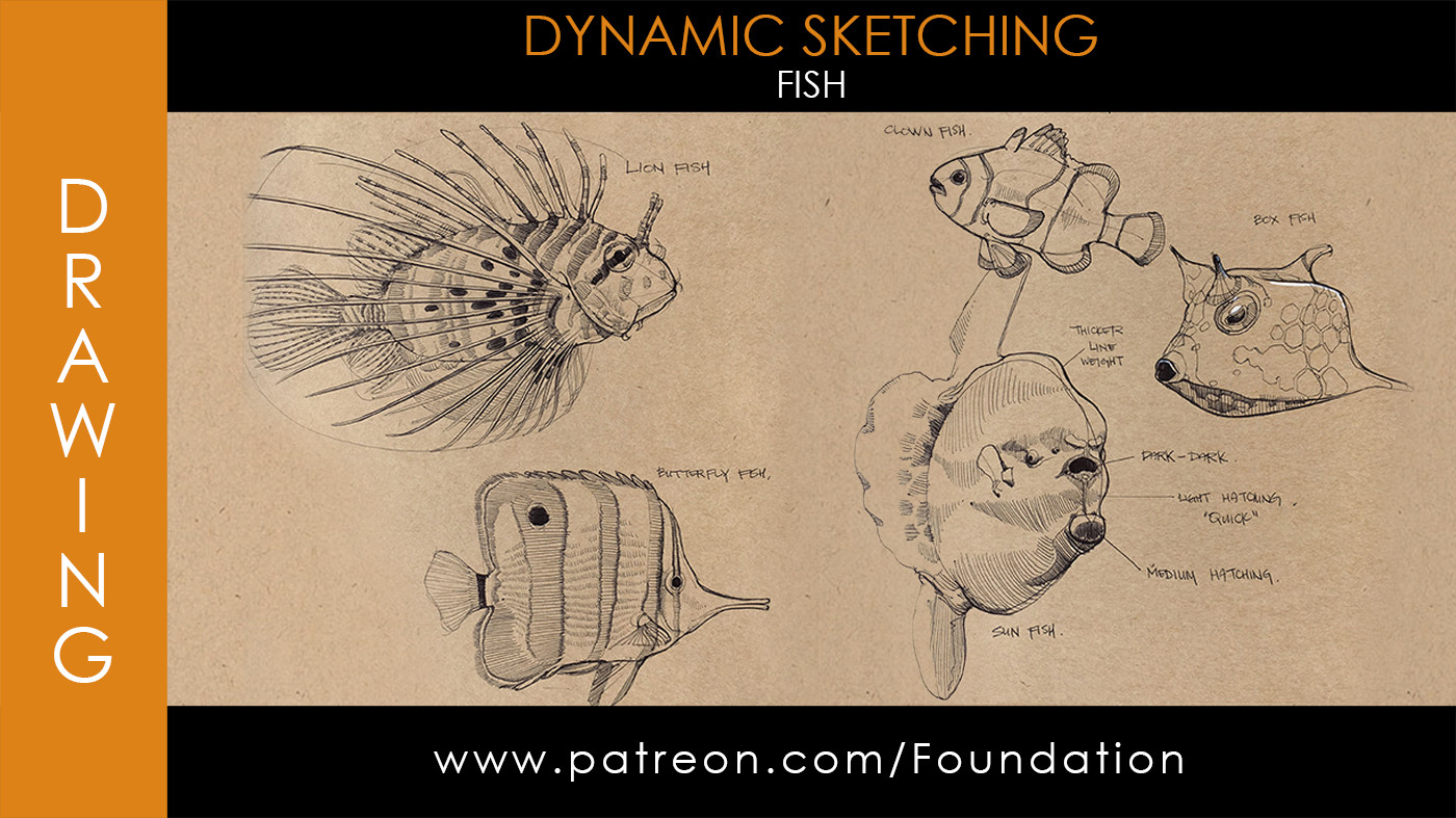 ArtStation - Foundation Art Group - Dynamic Sketching: Fish | Tutorials