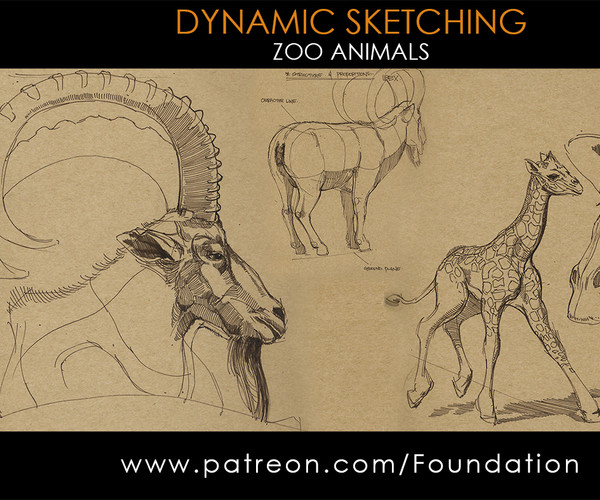 ArtStation - Foundation Art Group - Dynamic Sketching: Zoo Animals ...