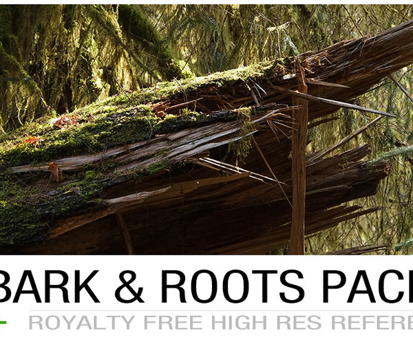 ArtStation - BARK & ROOTS PACK | Resources