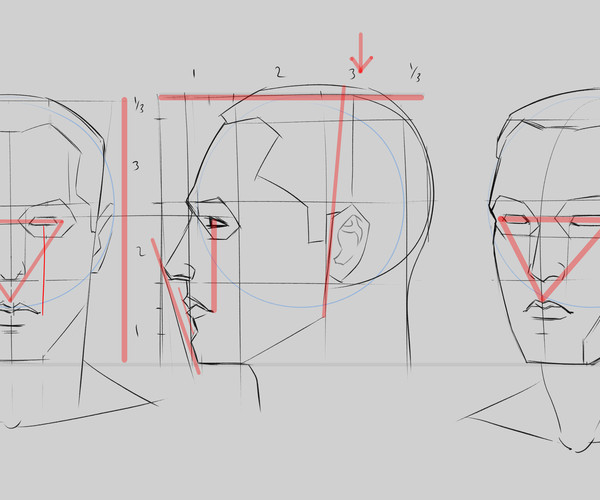 ArtStation - How to draw the head at any angle | Tutorials