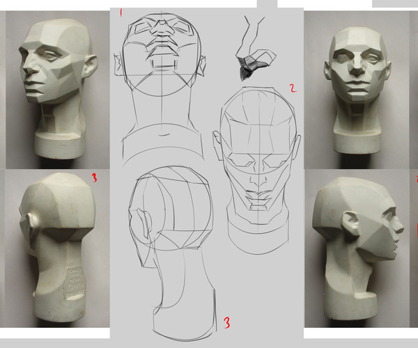 ArtStation - How to draw the head at any angle | Tutorials
