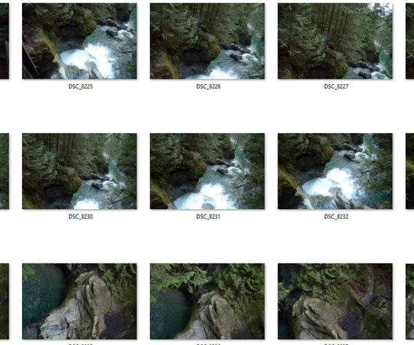 ArtStation - Forest Interior - 1300+ Photographic Reference Images ...