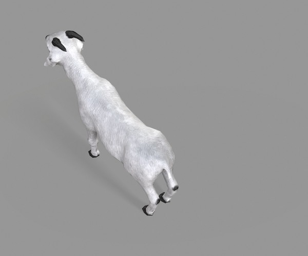 ArtStation - Goat | Game Assets