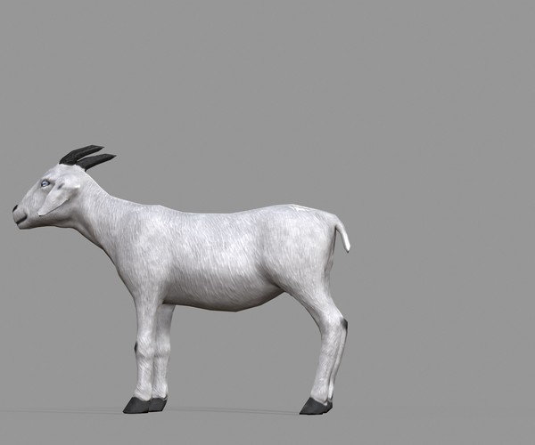 ArtStation - Goat | Game Assets