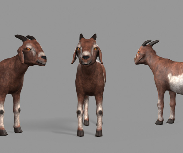 ArtStation - Goat | Game Assets