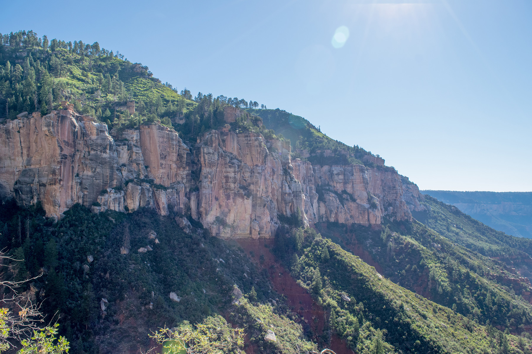 ArtStation - Reference: Grand Canyon National Park Pack 115 | Resources