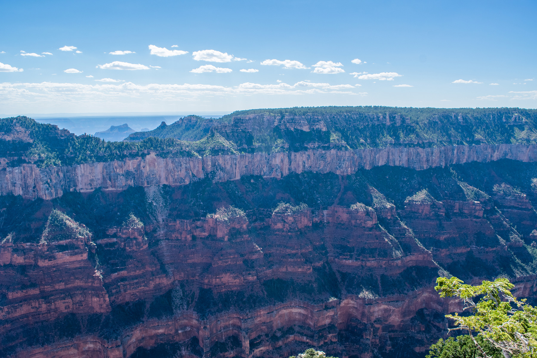 ArtStation - Reference: Grand Canyon National Park Pack 115 | Resources