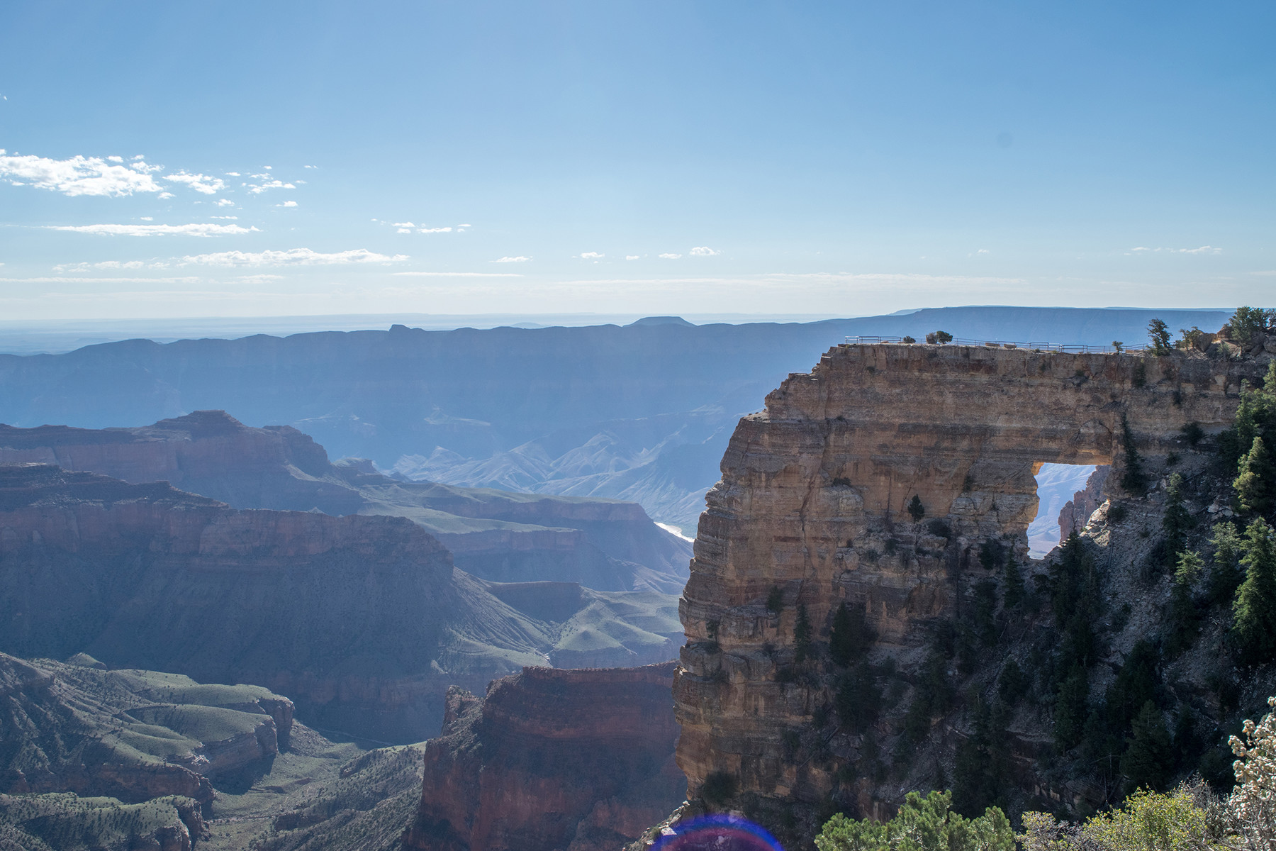 ArtStation - Reference: Grand Canyon National Park Pack 115 | Resources