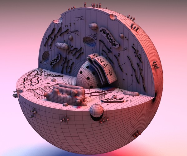 ArtStation - Cell 3D Model | Resources