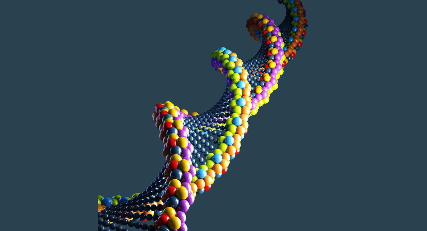 ArtStation - DNA 3D Model | Resources