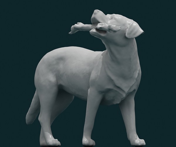 ArtStation - Dog 3D Model | Resources