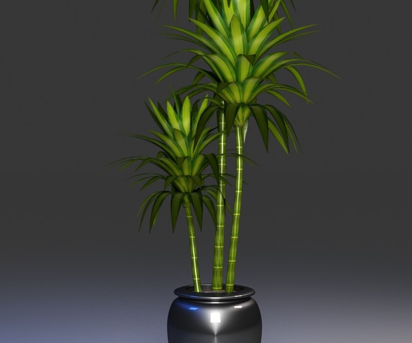 ArtStation - Office Pot Plant | Resources
