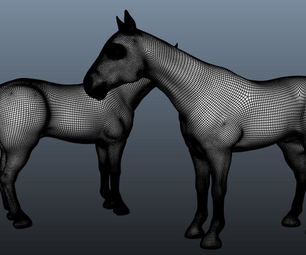 ArtStation - Horse Base Mesh | Resources
