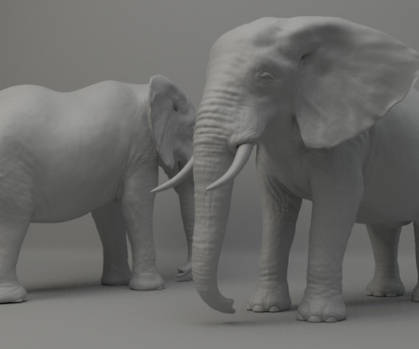 ArtStation - Elephant Base Mesh | Resources